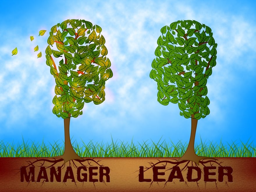 Managers and Leaders: Are They Different? - GIS Goal
